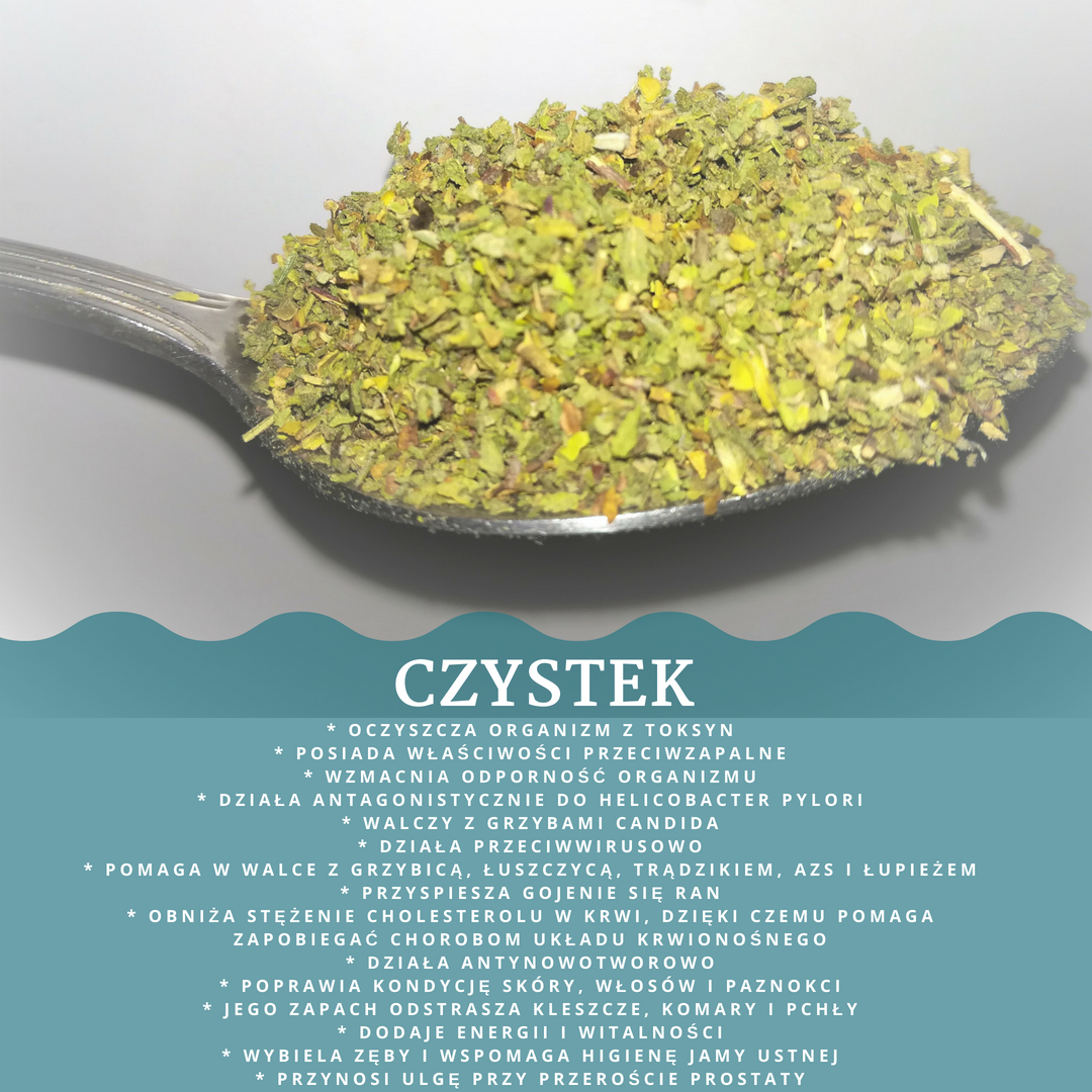 Czystek - modne zioło, które faktycznie działa. Właściwości i działanie ...